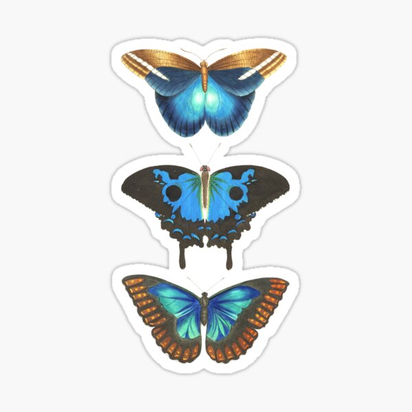 "Blue Butterflies" Sticker for Sale by SwankEpants | Redbubble
