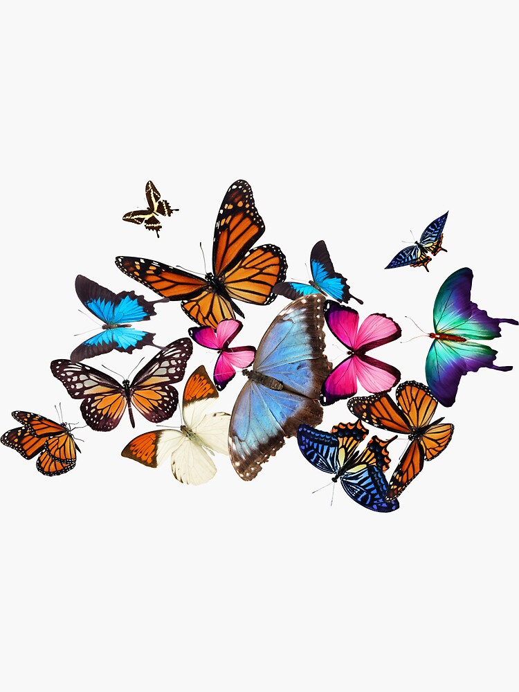 "Butterfly color." Sticker for Sale by MykhailoDiuk | Redbubble