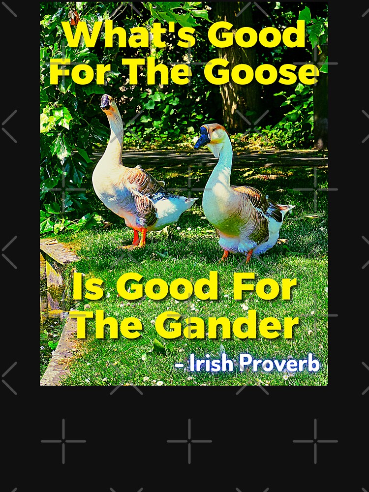 Goose Gander Quotes