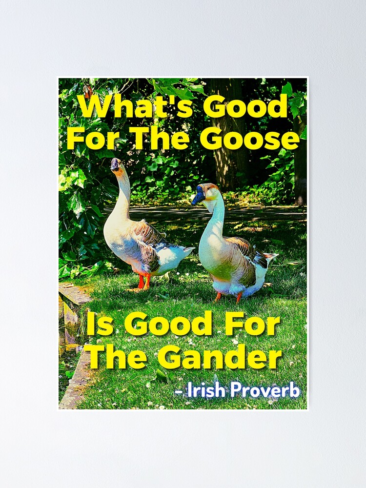 Goose Gander Quotes