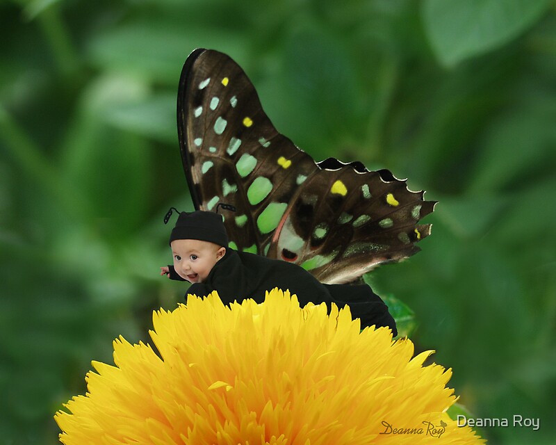 Happy Landing By Deanna Roy Redbubble happy-landing-by-deanna-roy-redbubble