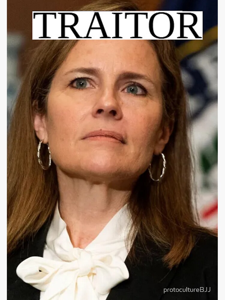 "amy coney barrett TRAITOR" Sticker by protocultureBJJ | Redbubble