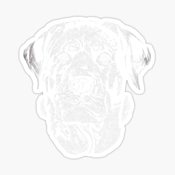 "Beautiful Rottweiler Dog Head Rotti Puppy Male Wau" Sticker for Sale ...