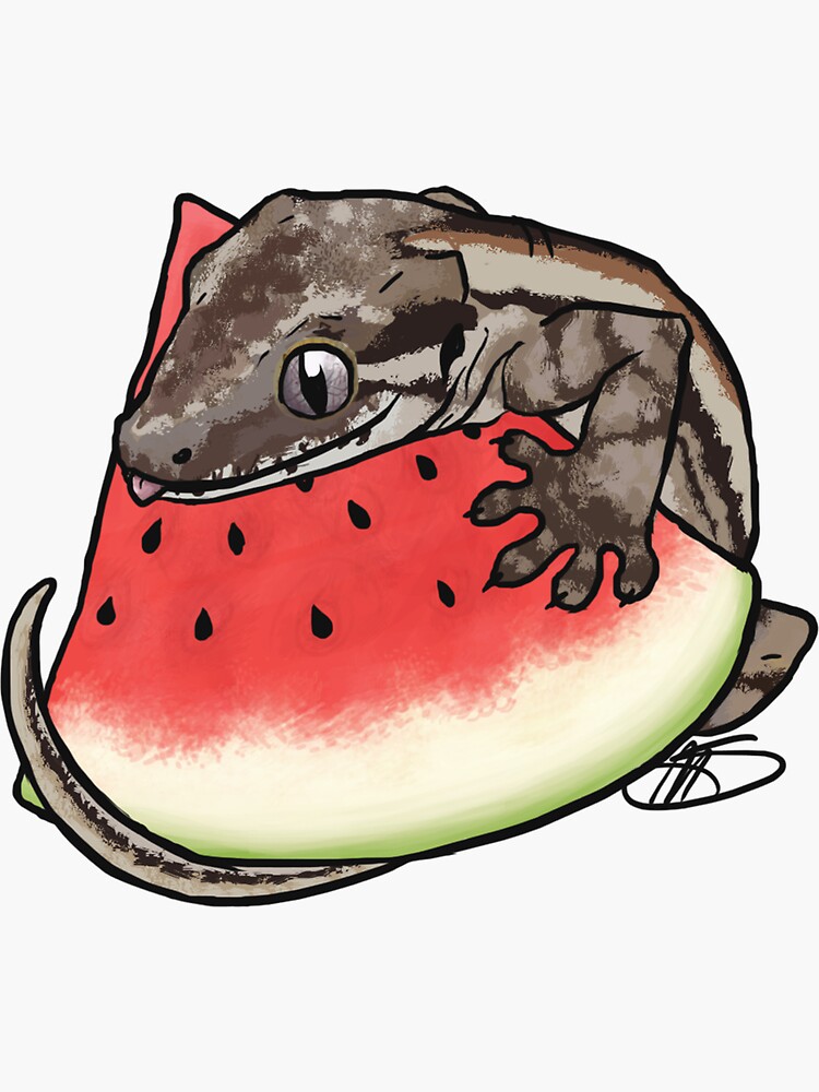 "Watermelon Gargoyle Gecko " Sticker for Sale by BernadetteWirth ...