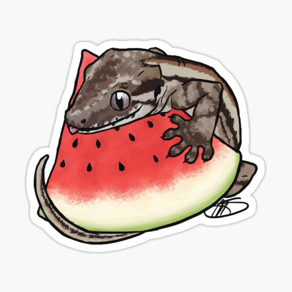 "Watermelon Gargoyle Gecko " Sticker for Sale by BernadetteWirth ...