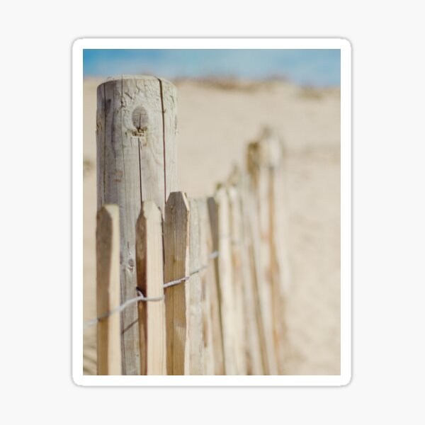 "BEACH" Sticker by Stacycooke | Redbubble