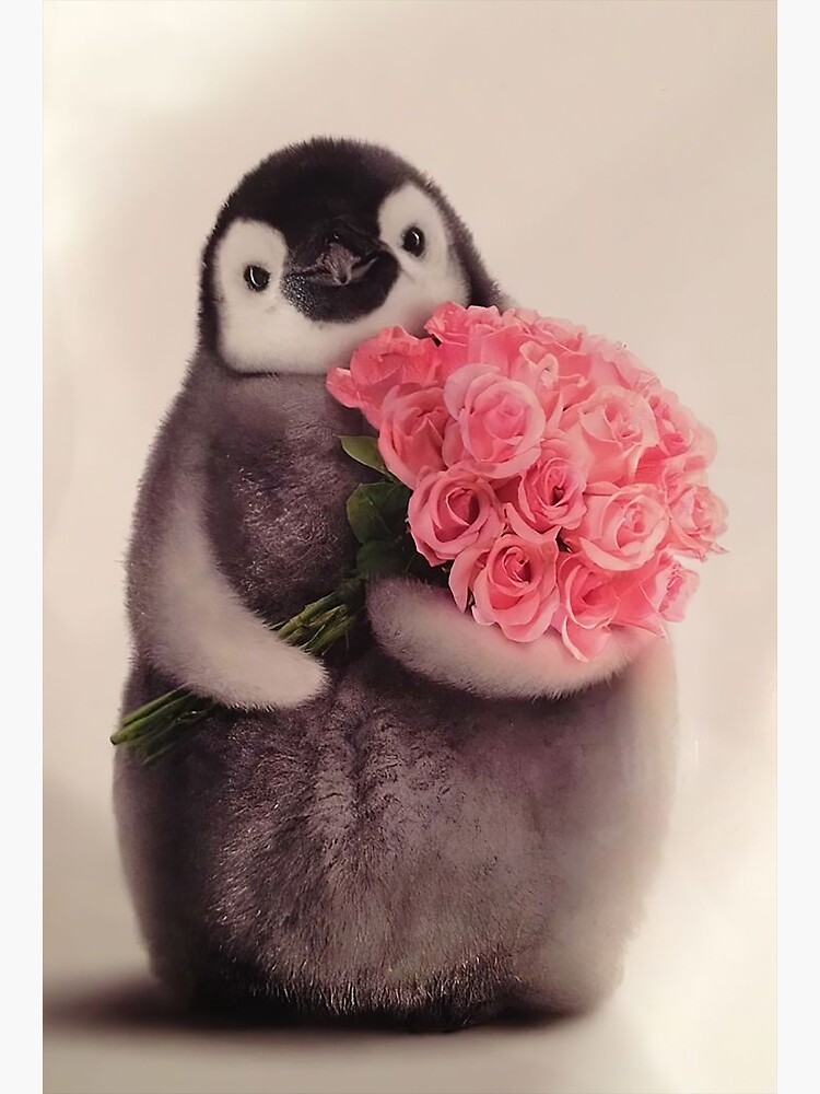 "Penguin and rose cute art " Poster for Sale by CampenKlein | Redbubble