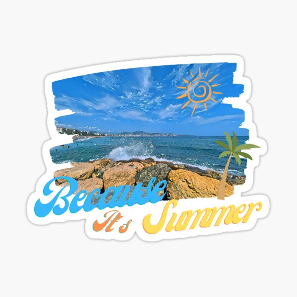 "Because... It's summer" Sticker for Sale by HappyFeets | Redbubble