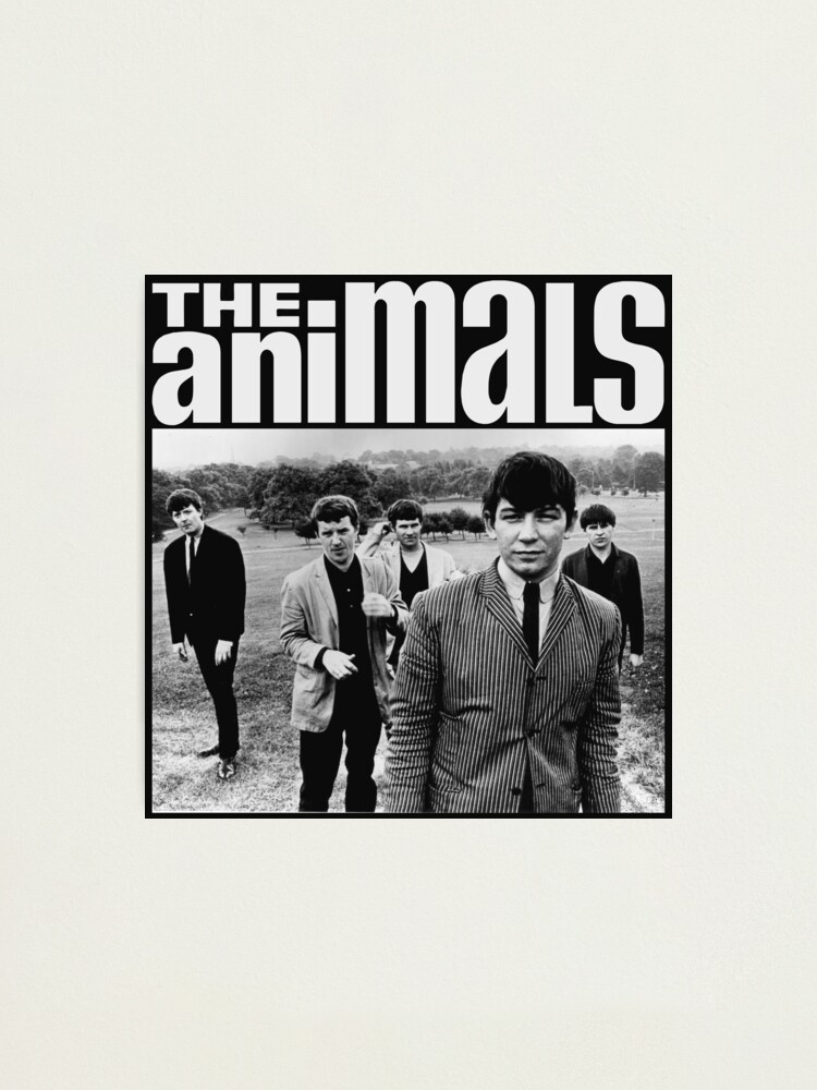 "THE ANIMALS BAND" Photographic Print for Sale by haraisvara | Redbubble