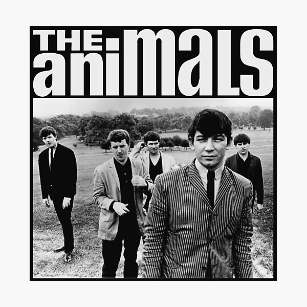 "THE ANIMALS BAND" Photographic Print for Sale by haraisvara | Redbubble