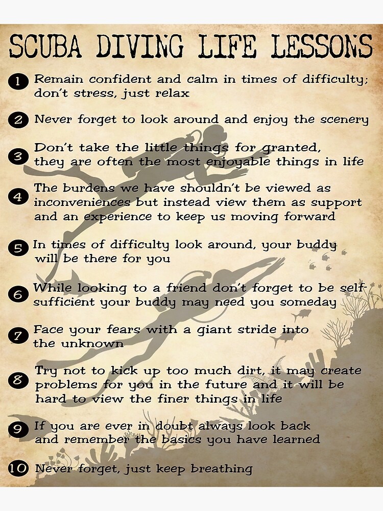 "Butterfly Scuba Diving Life Lessons" Poster for Sale by JakeGoodwin ...