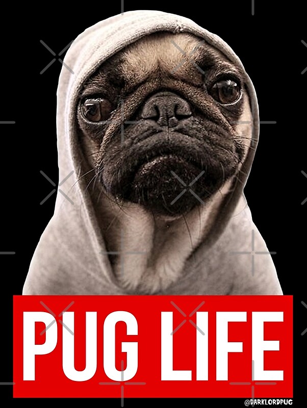 "Original Pug Life Pug" by darklordpug | Redbubble