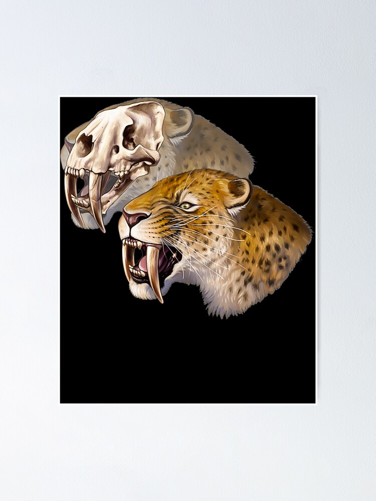 "Ice Age Sabre-toothed Cat (Smilodon fatalis)" Poster for Sale by ...