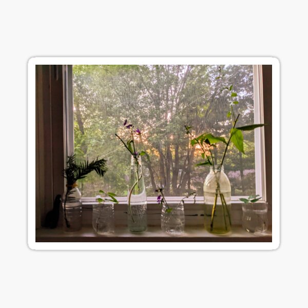 "Cuttings in an Eastern Window" Sticker for Sale by arfff | Redbubble