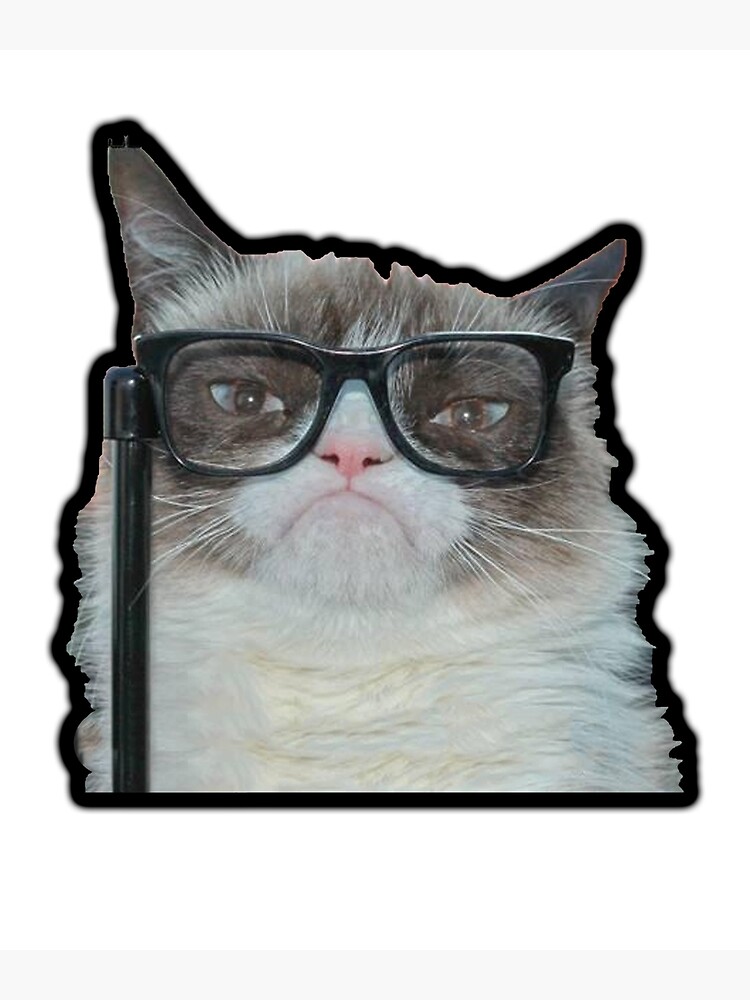 "Cool Kitties Grumpy CAT Sticker-pack Sticker Meme Cats Pack of ...