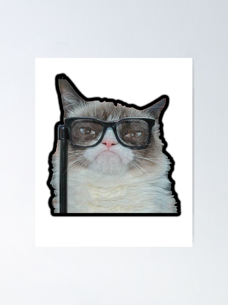 "Cool Kitties Grumpy CAT Sticker-pack Sticker Meme Cats Pack of ...