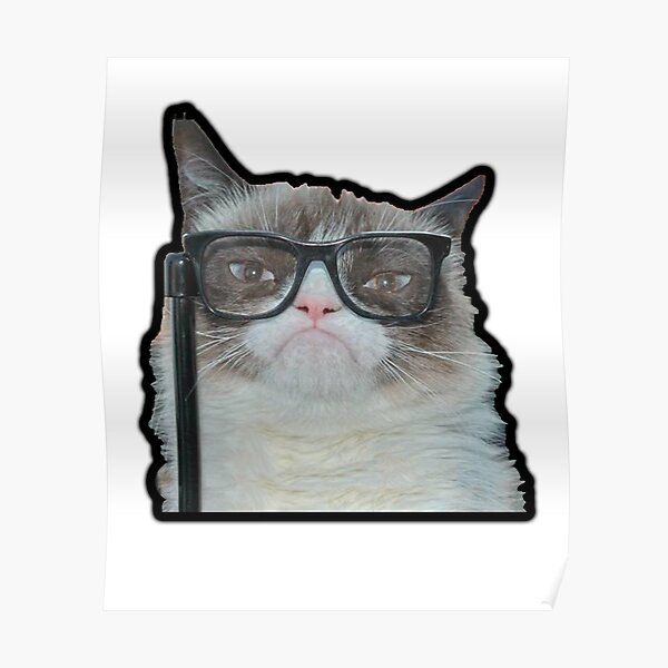 "Cool Kitties Grumpy CAT Sticker-pack Sticker Meme Cats Pack of ...