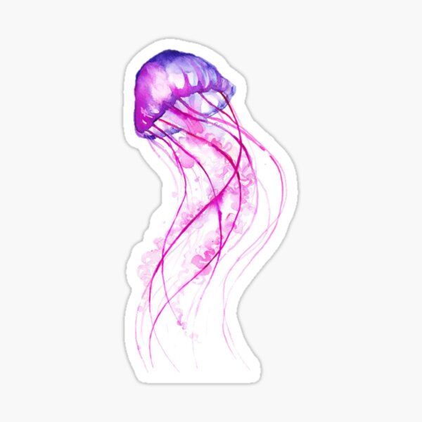 Jellyfish Stickers | Redbubble
