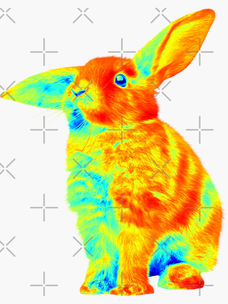 "Bunny Heatmap - Rabbit" Sticker for Sale by DazArtDesigns | Redbubble