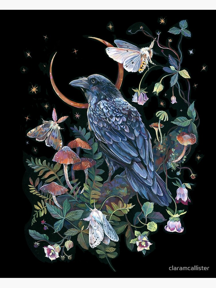 "Moon Raven" Art Print for Sale by claramcallister | Redbubble