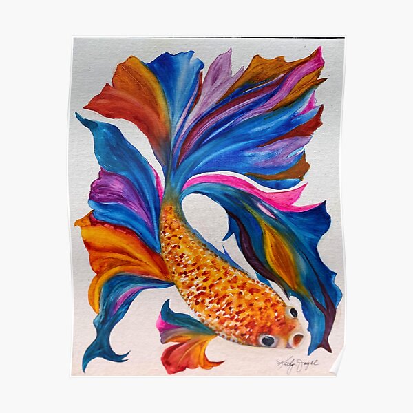 "Betta Fish" Poster for Sale by kathyjoycecards | Redbubble