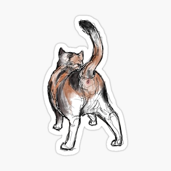 "Three Color Cat " Sticker for Sale by Pavijannn | Redbubble