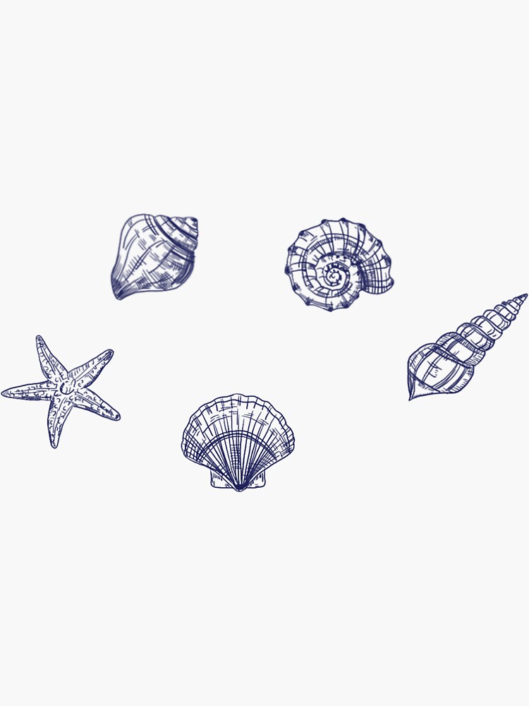 "Seashells " Sticker for Sale by alysanowak | Redbubble