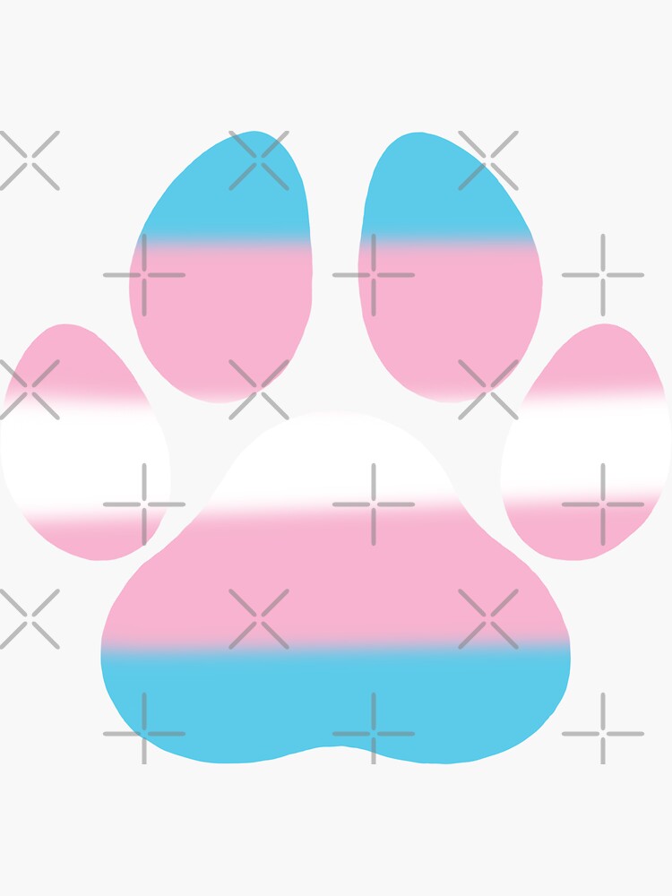 "Transgender Pride paw print" Sticker for Sale by Lexie-bear | Redbubble
