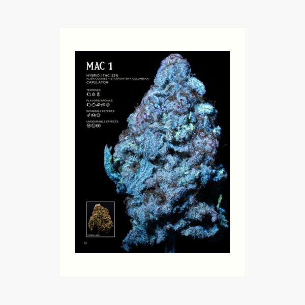 "Mac 1 Strain Stat Poster | The Secret Colors of Cannabis Official" Art ...