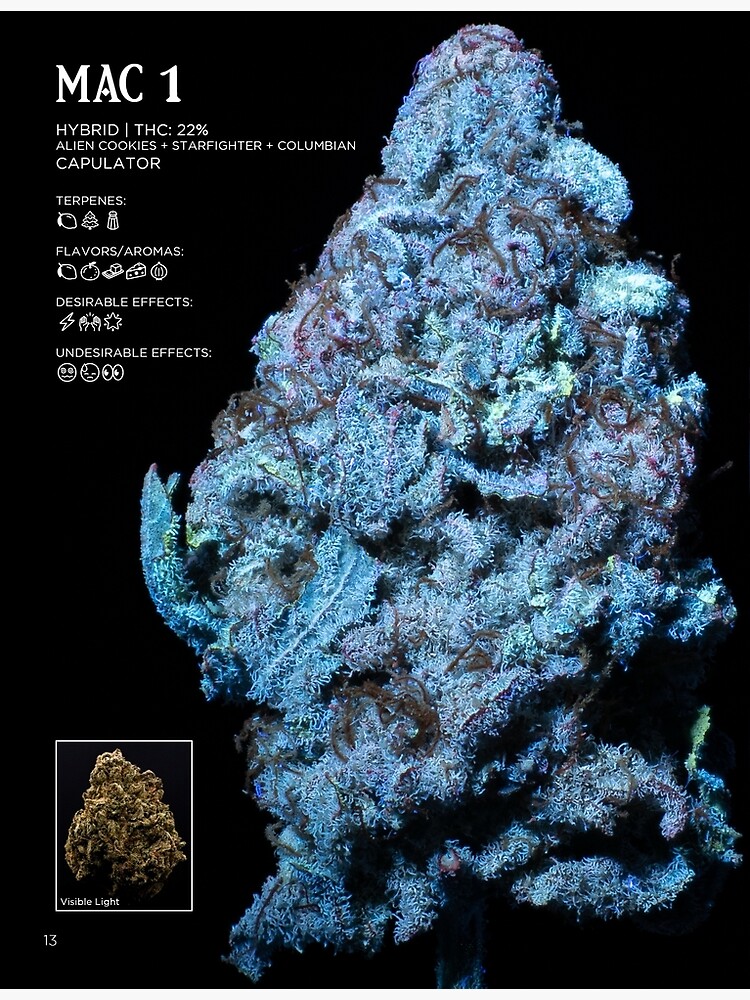 "Mac 1 Strain Stat Poster | The Secret Colors of Cannabis Official" Art ...