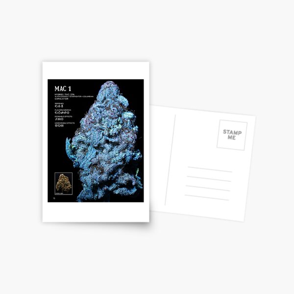 "Mac 1 Strain Stat Poster | The Secret Colors of Cannabis Official ...