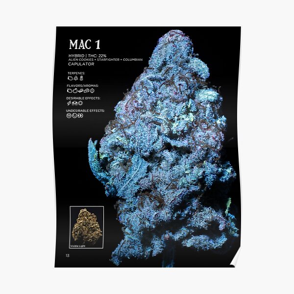 "Mac 1 Strain Stat Poster | The Secret Colors of Cannabis Official ...
