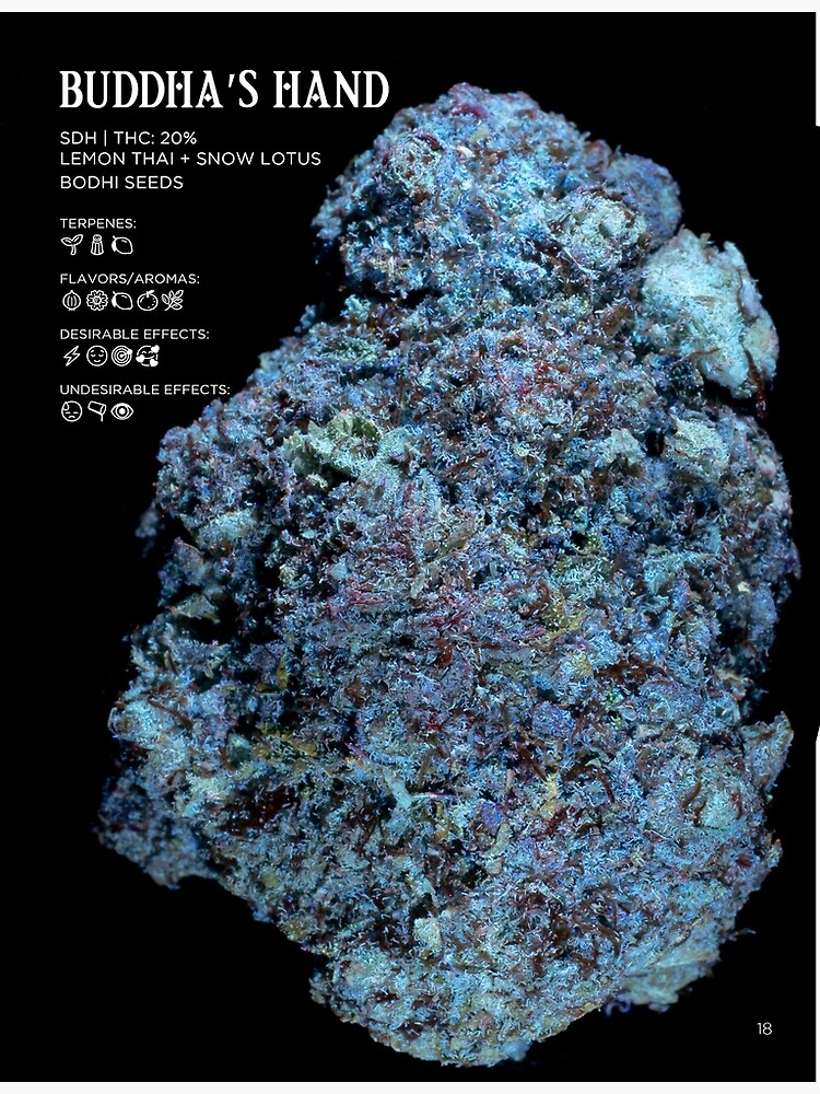 "Buddha's Hand Strain Stat Poster | The Secret Colors of Cannabis ...