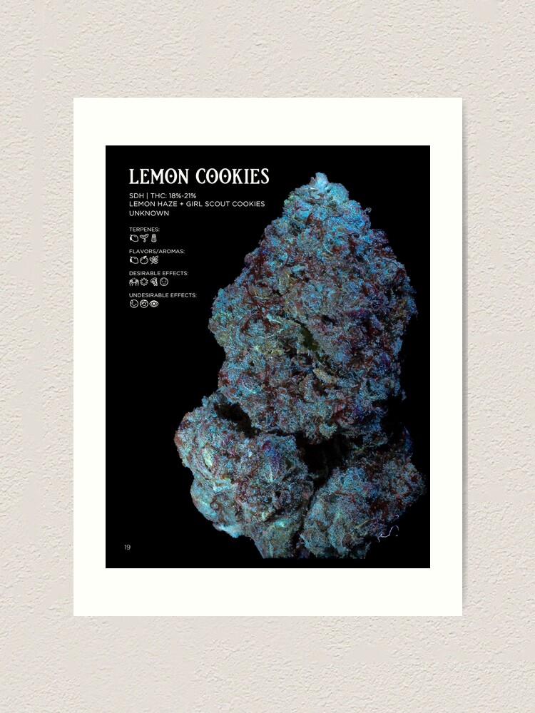 "Lemon Cookies Strain Stat Poster | The Secret Colors of Cannabis ...