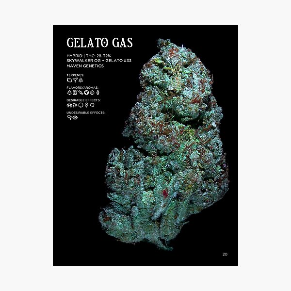 "Gelato Gas Strain Stat Poster | The Secret Colors of Cannabis Official ...