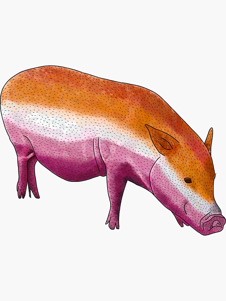"Lesbian Flag Pride Pig " Sticker by kylepeterart | Redbubble