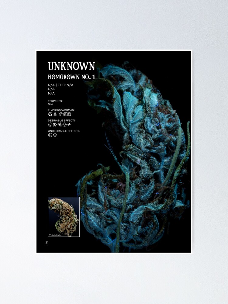 "Unknown Homegrown No. 1 Strain Stat Poster | The Secret Colors of ...