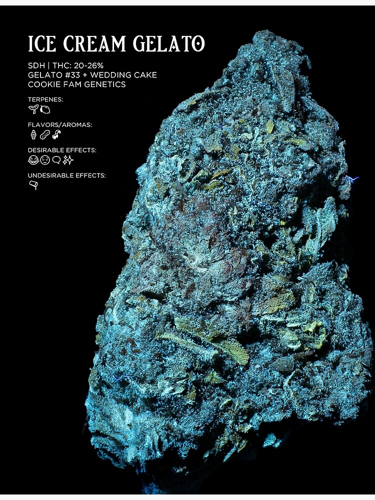 "Ice Cream Gelato Strain Stat Poster | The Secret Colors of Cannabis ...
