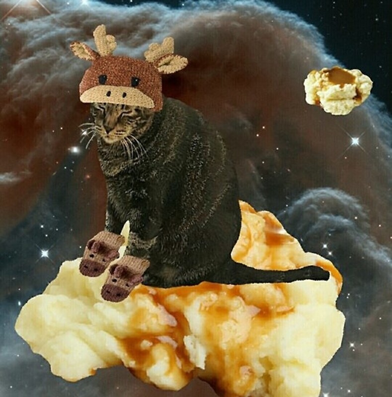 "mashed potato cat" by taco-elgato | Redbubble