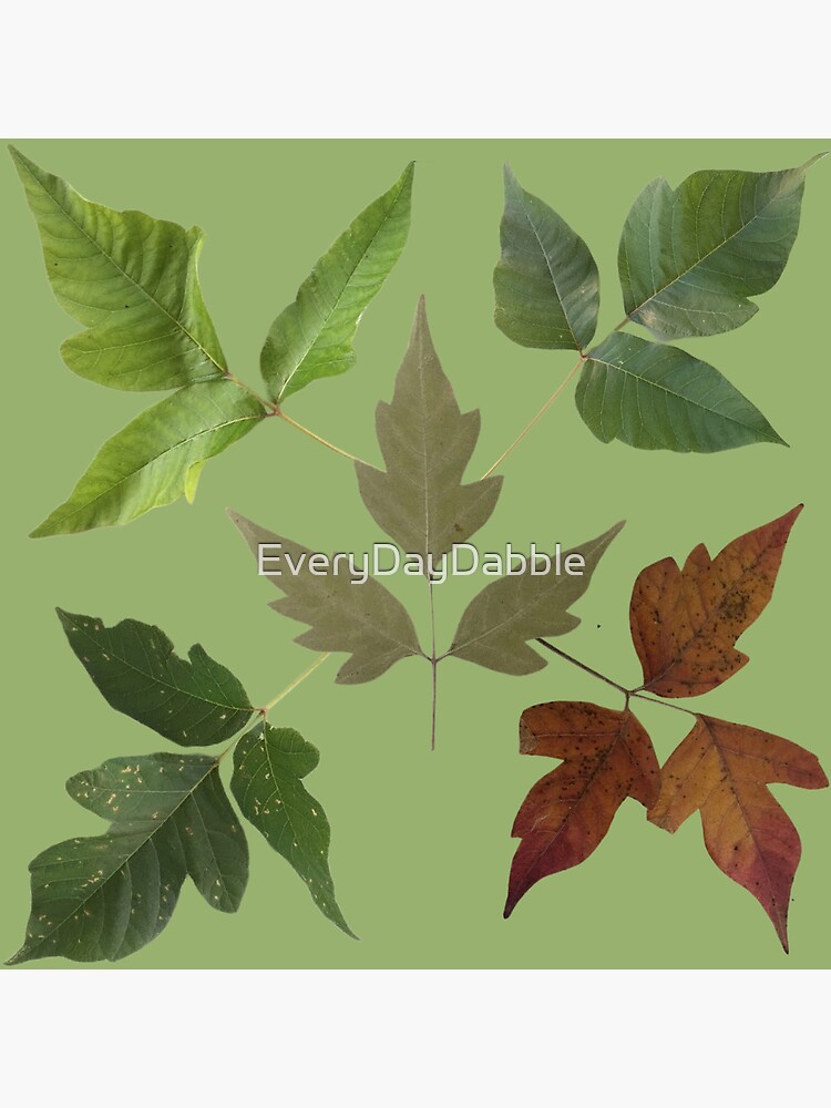 "Poison Ivy Cos Play Leaves "Leaves of three, let them be ...