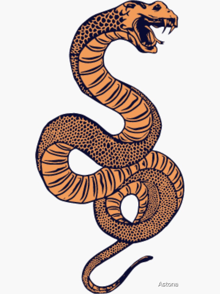 "venomous snake" Sticker for Sale by Astona | Redbubble