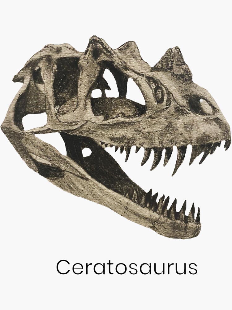 "Ceratosaurus skull" Sticker for Sale by sketchedlines | Redbubble