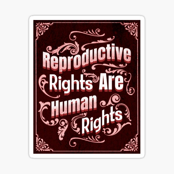 "Reproductive Rights are Human Rights" Sticker for Sale by DaniGirls ...