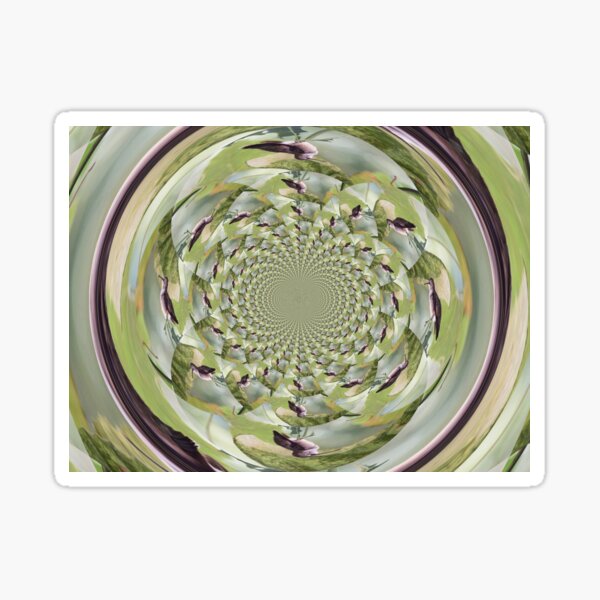 "Digitally Enhanced Photograph" Sticker for Sale by Funny-- | Redbubble