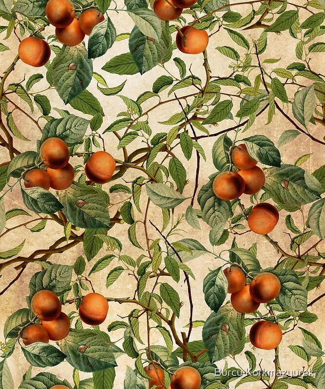 " Vintage Fruit Pattern" by Burcu Korkmazyurek | Redbubble