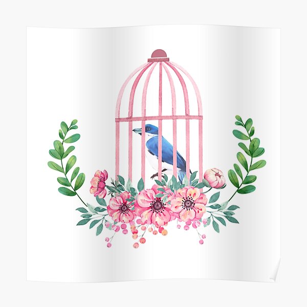 "Bird Cage" Poster for Sale by BeakHouse | Redbubble
