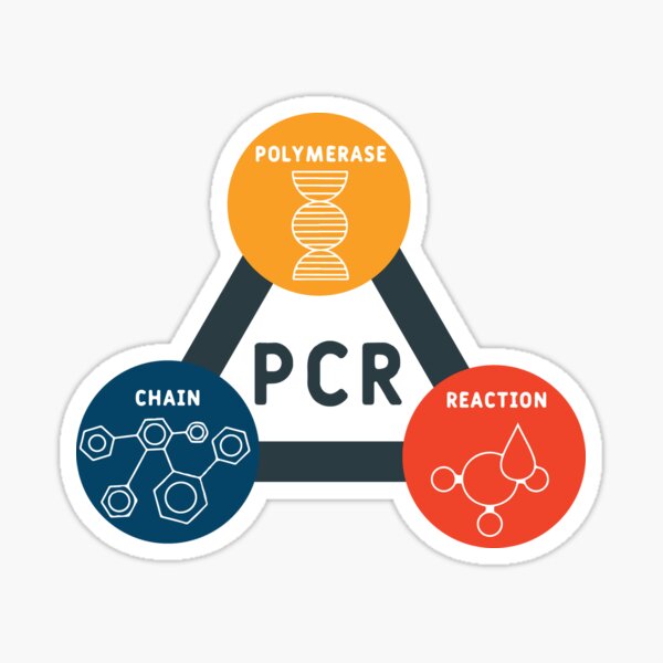 " polymerase chain reaction - PCR" Sticker for Sale by DoodleGraphic ...