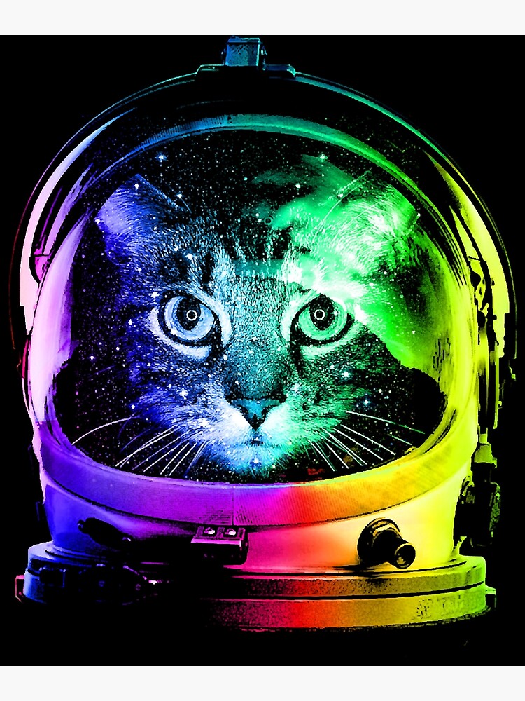"Astronaut Cat meme vintage" Poster for Sale by PeterwRamseth | Redbubble