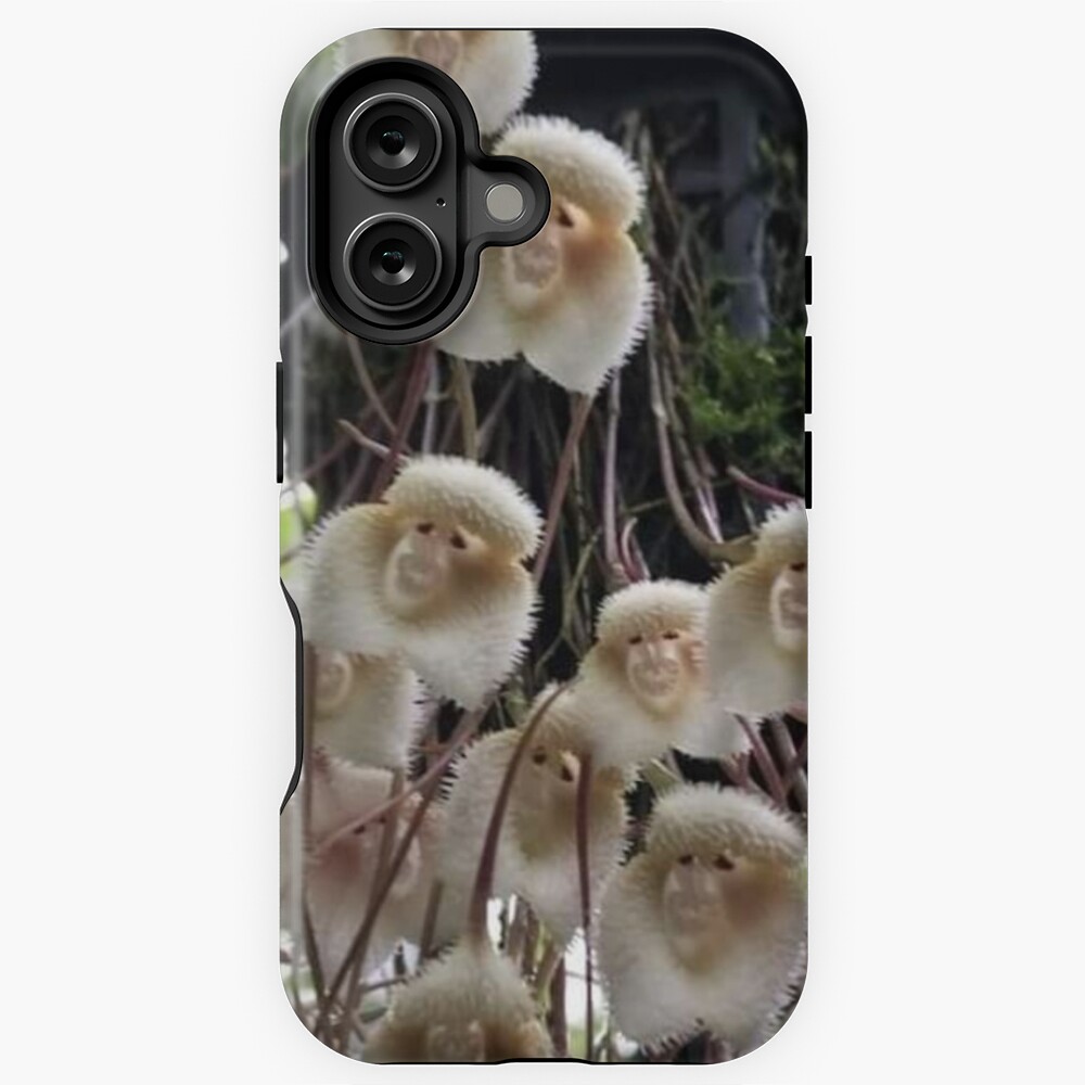 "Drakula simia" Sticker for Sale by Saiamrita123 | Redbubble