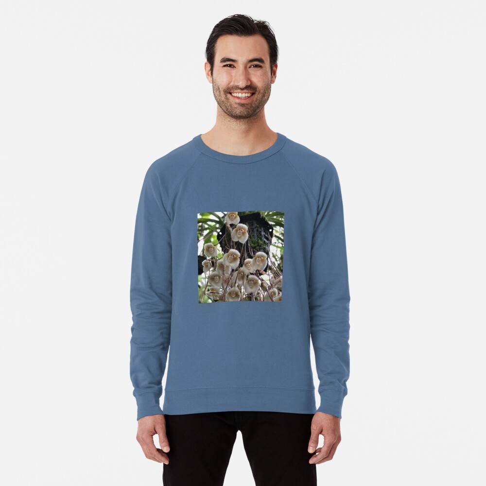 "Drakula simia" Sticker for Sale by Saiamrita123 | Redbubble